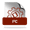 Videology Viewers and Camera Drivers